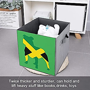 Pitbull Jamaica Flag Collapsible Storage Bins Basics Folding Fabric Storage Cubes Organizer Boxes with Handles
