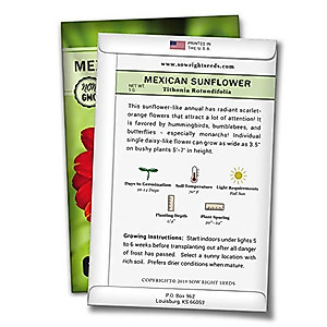 Sow Right Seeds - Mexican Sunflower Seed for Planting- Full Packet with Instructions, Beautiful Non-GMO Heirloom Flower to Plant, Wonderful Gardening Gift (1 Packet)