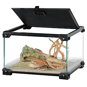 OIIBO Small Glass Reptile Terrarium 12.2" x 12.2" x 7.8" Top Feeding Reptile Tank Full View Visually Appealing Reptile Amphibians Habitat Enclosure