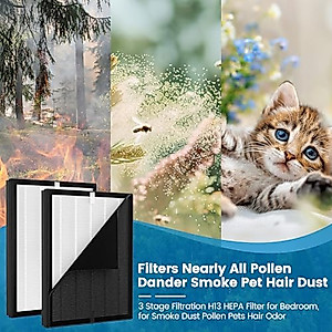KJ190L Fil-ter Replacement Compatible with MOOKA KJ190L Air Puri-fier 3 Stage 2 H13 True HEPA and 4 Washable Pre-Filtes (2+4)