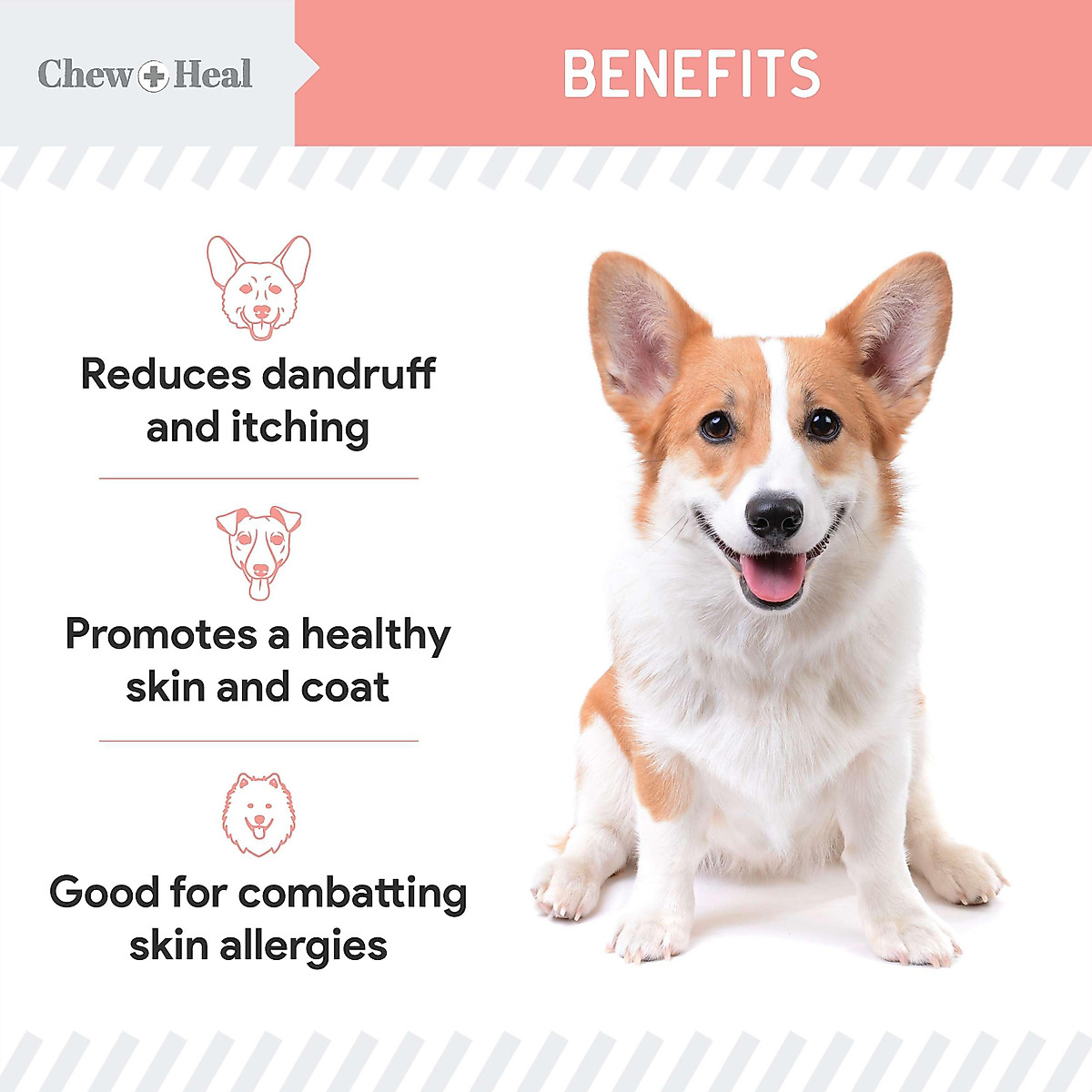 Wild Alaskan Salmon and Pollock Fish Oil for Dogs - 32 oz. of Fish Oil Formula - Pump Cap Bottle - Contains Omega-3 and 6, Vitamin D, EPA, and DHA for Healthy Skin and Coat