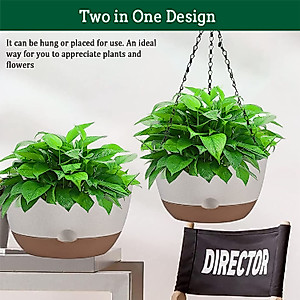 Koalaime Hanging Planter Self Watering 10 Inch, 2 Pack Indoor Outdoor Hanging Baskets, Hanging Flower Pots with Drainage Hole & 2 Kinds of Plant Hangers for Garden Home Decor(Cream)…