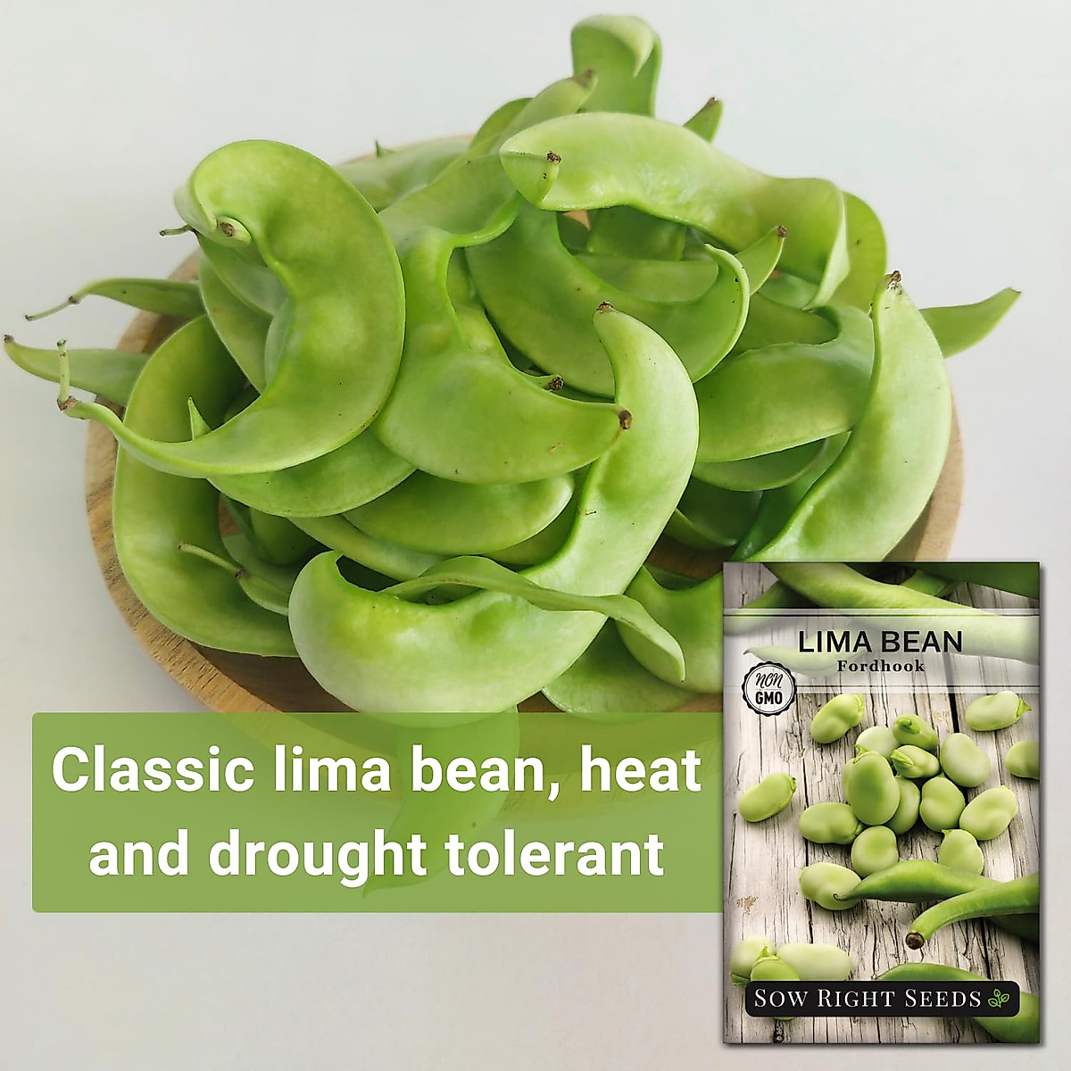 Sow Right Seeds - Fordhook Lima Bush Bean Seeds for Planting - Non-GMO Heirloom Packet with Instructions to Plant an Outdoor Home Vegetable Garden - Stringless Variety - Protein Packed Bush Bean (1)