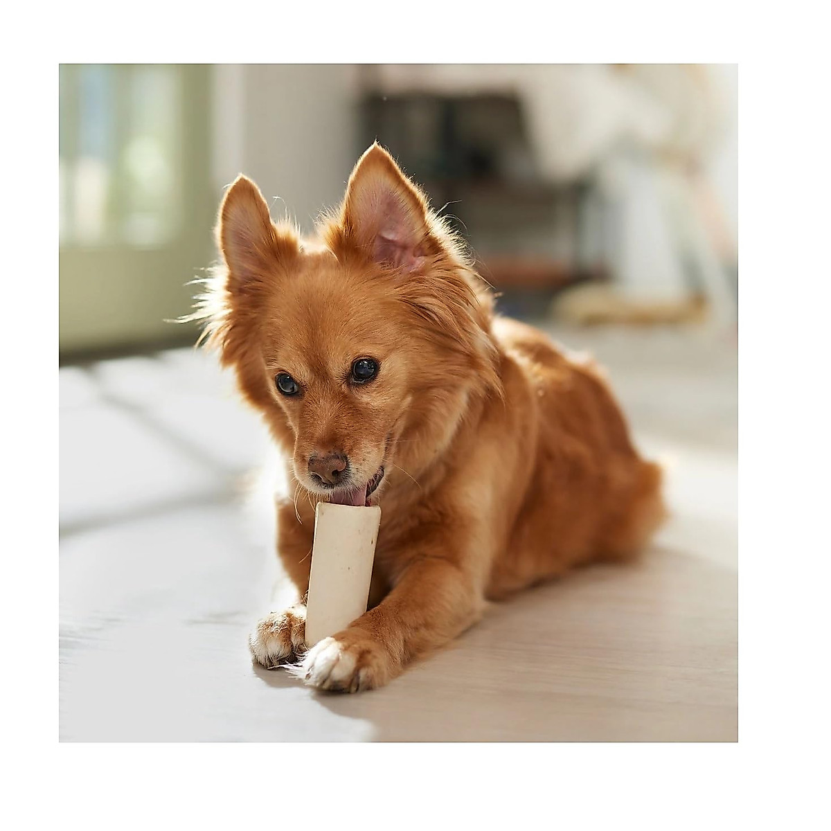 MPP Stuffed Peanut Butter Nutritious Refillable Shin Bones 4" Hard Dog Dental Chews (2 Bones)