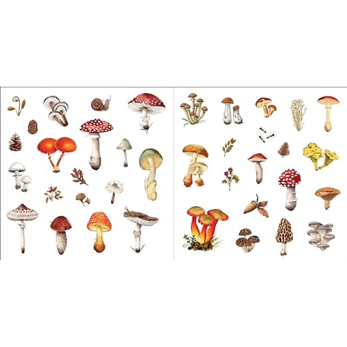 Bunches of Botanicals Sticker Book (Over 500 stickers!)