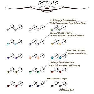 Masedy 15 Pairs 20G 316L Stainless Steel CZ Stud Earrings for Women Men Cartilage Screwback Earring Set 2mm