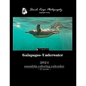 Galapagos- Underwater: Sanili Kergo Photography, 2024 Calendar