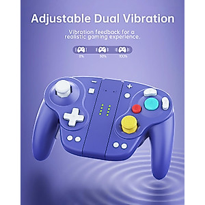 miknok DOYOKY Joypad Controller for Switch/Switch OLED, Retro Gamecube Style Wireless Replacement, Switch Controllers with Replaceable Thumbsticks/Map Button/Turbo/6-Axis Gyro/Vibration(Purple)