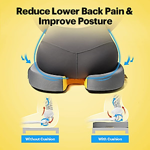 Lemonduck Seat Cushion, Memory Foam Chair Cushion for Office Chair Car Seat Wheelchair, Sciatica Coccyx Tailbone Back Pain Relief