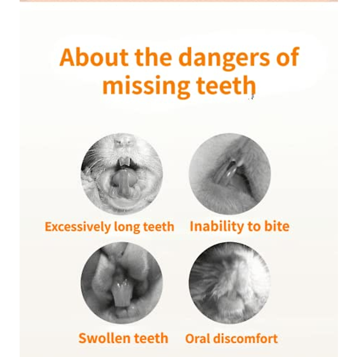 Barn Eleven 100g/0.22lb Natural Apple Sticks, Treats Food for Small Animals, Chew Toys for Chinchilla Guinea Pigs Rabbit Squirrel Hamster Bunny (100g/0.22lb)