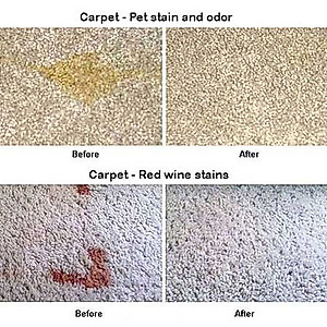 Go Green Upholstery/Carpet Cleaner - Organic 3 in 1 Cleans Eliminates Odor and Protects, Unleash the Power of Citrus to Get Out Even The Toughest Stains, Great Christmas Gift Made in the US