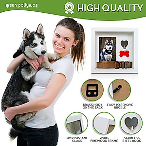 Green Pollywog Pet Memorial Shadowbox with Photo, Tag & Collar Display | White Frame with 4” x 6” Picture Opening | 10” x 10” x 2.5” Keepsake Box