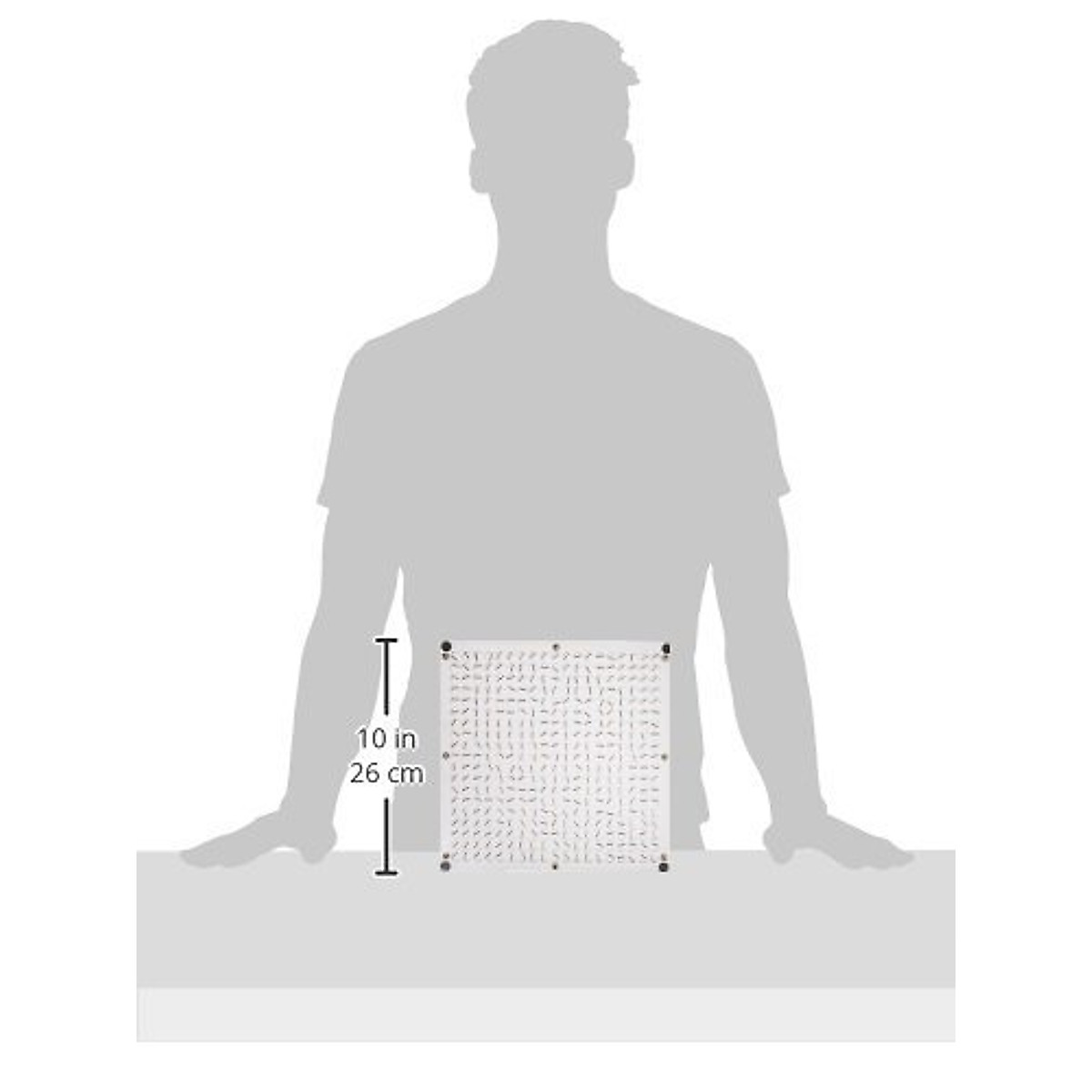 Eisco Labs Magnetic Field Demonstration Plate, Large