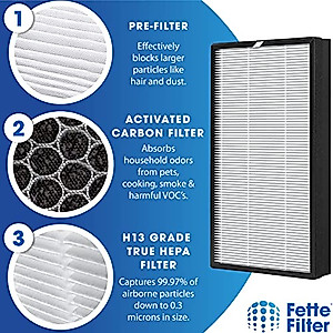 Fette Filter - HSP003 Air Purifier Filter Compatible with HSP003 Dual Filtration HEPA Air Purifier - Pack of 2