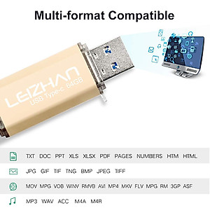 leizhan USB C Thumb Drive 64GB, Type C USB Memory Stick for Samsung Galaxy S10,S9, Note 9, S8, S8 Plus,Google Pixel XL, with USB OTG Adapter Micro and Type-C USB to USB Converter