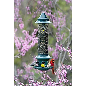 Squirrel Buster Plus Squirrel-proof Bird Feeder w/Cardinal Ring and 6 Feeding Ports, 5.1-pound Seed Capacity, Adjustable, Pole-mountable (POLE ADAPTOR SOLD SEPARATELY), Green