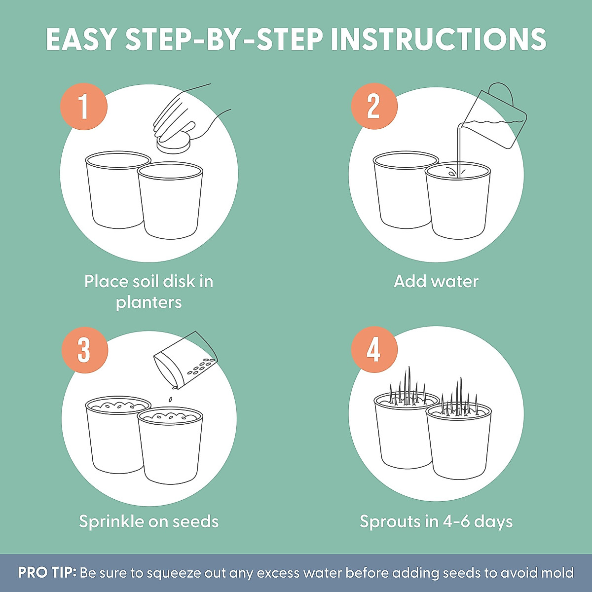 The Cat Ladies Cat Grass Growing kit with Organic Cat Grass Seed, Soil and Two Ceramic Planters with Bamboo Trays Natural Hairball Remedy