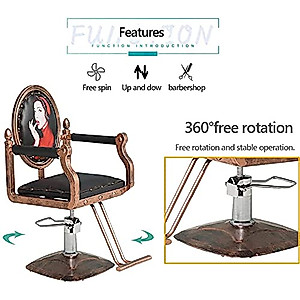 DFONCE Barber Chair,Hydraulic Barber Chair Salon Hair Beauty Chair Styling Equipment,C (Color : D)