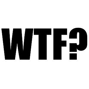 CafePress WTF? Mug Ceramic Coffee Mug, Tea Cup 11 oz