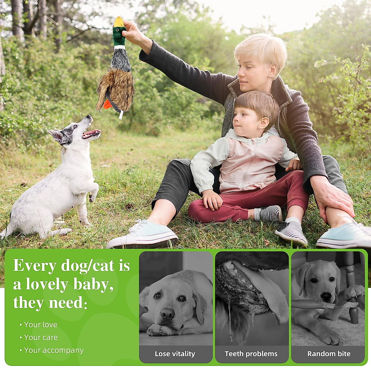 wangstar Squeaky Dog Toy for Puppy Dogs Toys to Keep Them Busy Mallard Duck Stuffed Dog Toys for Medium Small Dogs, 9" x3 Wild Duck