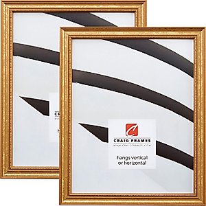 Craig Frames 314GD 16 x 20 Inch Picture Frame, Ornate Gold, Set of 2