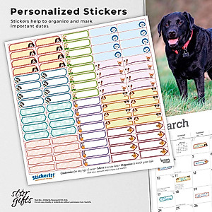 The Beauty of Black Labrador Retrievers | 2024 14 x 24 Inch Monthly Deluxe Wall Calendar | Sticker Sheet | StarGifts | Animal Dog Breeds
