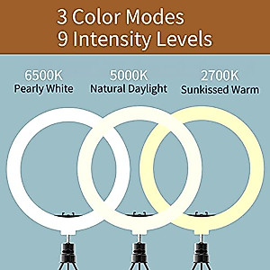 imuviy Selfie Ring Light Set with Tripod Stand and Adjustable Cell Phone Holder for Live Stream or Diammable Desk Makeup Ring Light Kit Mini Led Camera Ringlight for YouTube Videos Photography