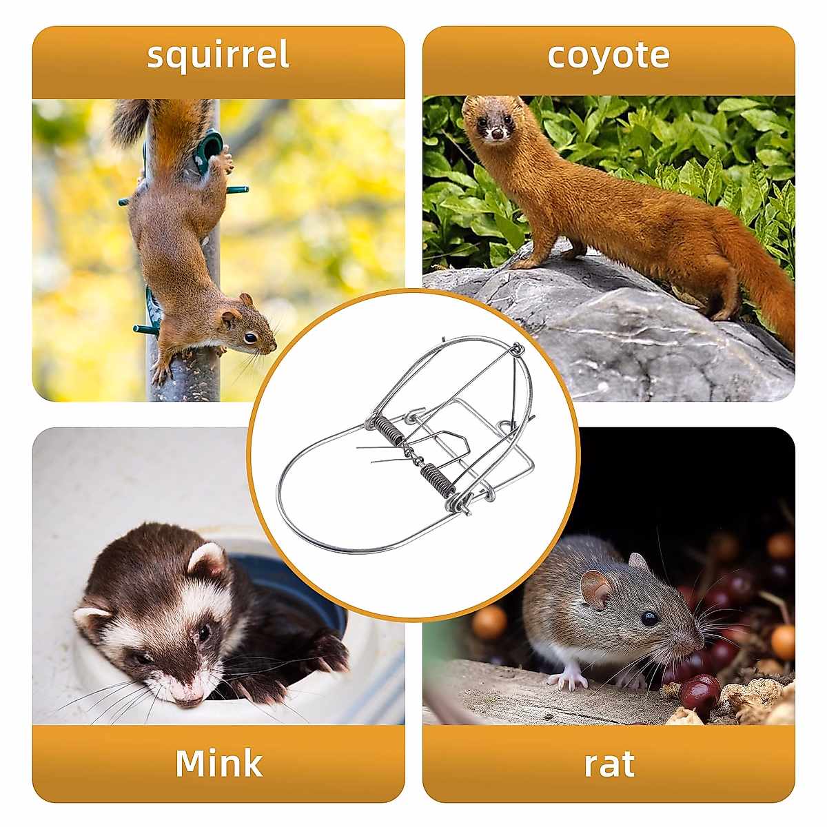 Small Animal Traps Mouse Trap,Spring Trapt Rodent Cage,Suit for Rat,Reusable, 2Pack