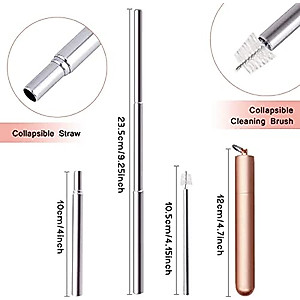 Buleila TELESCOPIC STRAW (BLUE CASE COLORFUL STRAW,PINK CASE SILVER STRAW,GOLD CASE ROSE GOLD STRAW,GREY CASE SILVER SREAW, 4)