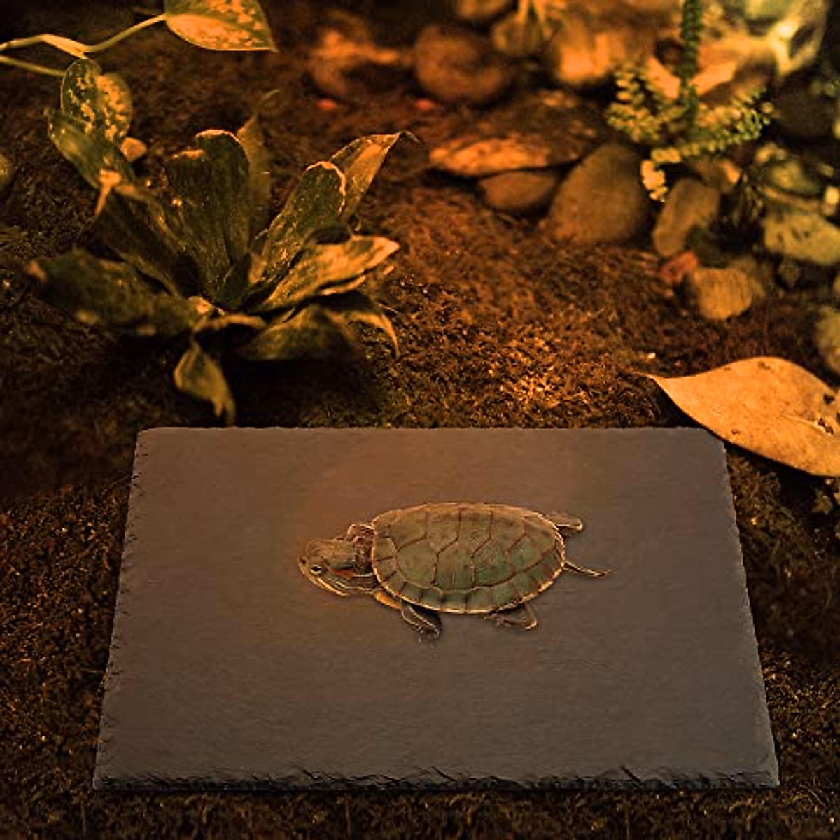 Filhome Reptile Basking Platform, Tortoise Habitat Rock Plate Slate Natural Rock Reptile Food Bowl Landscape Habitat Decor for Turtle Lizard Bearded Dragon Crested Gecko Snake(30 * 20cm)