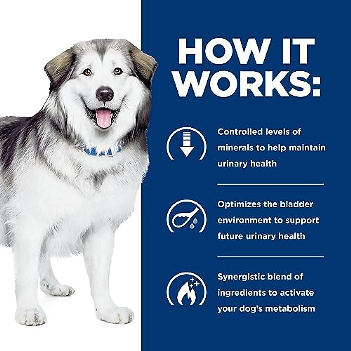 Hill's Prescription Diet c/d Multicare + Metabolic Chicken Flavor Dry Dog Food, Veterinary Diet, 24.5 lb. Bag