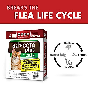 Advecta Plus Flea Prevention For Cats, Cat and Kitten Treatment & Control, Small and Large, Fast Acting Waterproof Topical Drops, 4 Month Supply