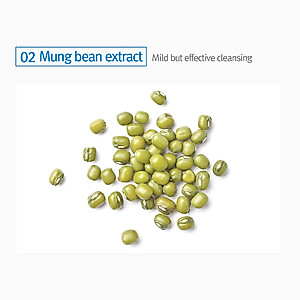 Pyunkang Yul Kids & Baby Shampoo with Ceramide, Camellia seeds, Cica, Honeysuckle flower, Hydrating, Nourishing, Scalp Cleansing, Fragrance Free, EWG verified 19.9 Fl.Oz.