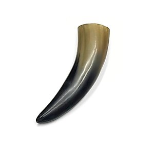 6-8" Polished Water Buffalo Horn