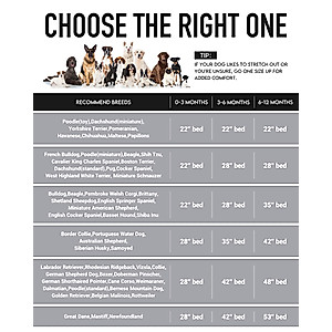 OhGeni Orthopedic Dog Bed for Large Dogs, Dog Couch Design with Egg Foam Support, Removable, Machine Washable Plush Cover and Non-Slip Bottom with Four Sided Bolster Cushion (Gray)