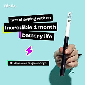 Dintle™ Sonic Rechargeable Electric Toothbrush with 2 Brush Heads, Travel Case and Fast Charge Stand, 1-Month Battery Life, 3 Brushing Modes