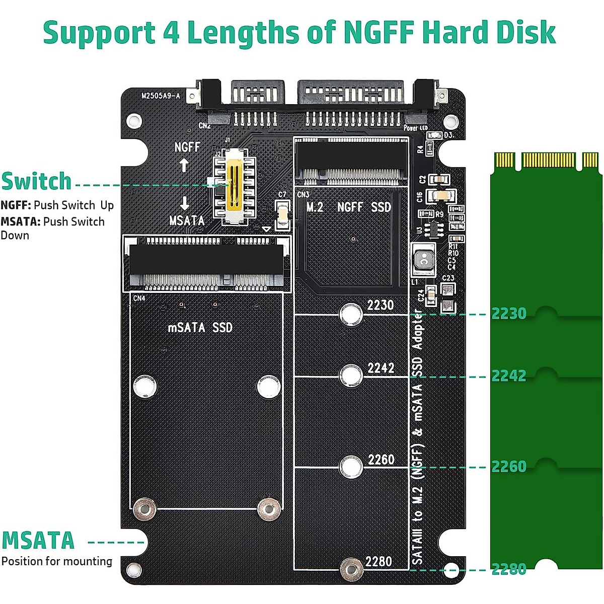 ELUTENG M.2 SATA to SATA Adapter (Not Support NVME/M.2 PCIE) MSATA and B Key/B&M Key M.2 NGFF SDD to 2.5" SATA III 2 in 1 Converter Supports MSATA/M.2 NGFF SSD Not for M Key