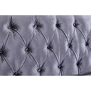 Iconic Home Grey Dylan Velvet with Silver Nail head Trim Round Acrylic Feet Sofa