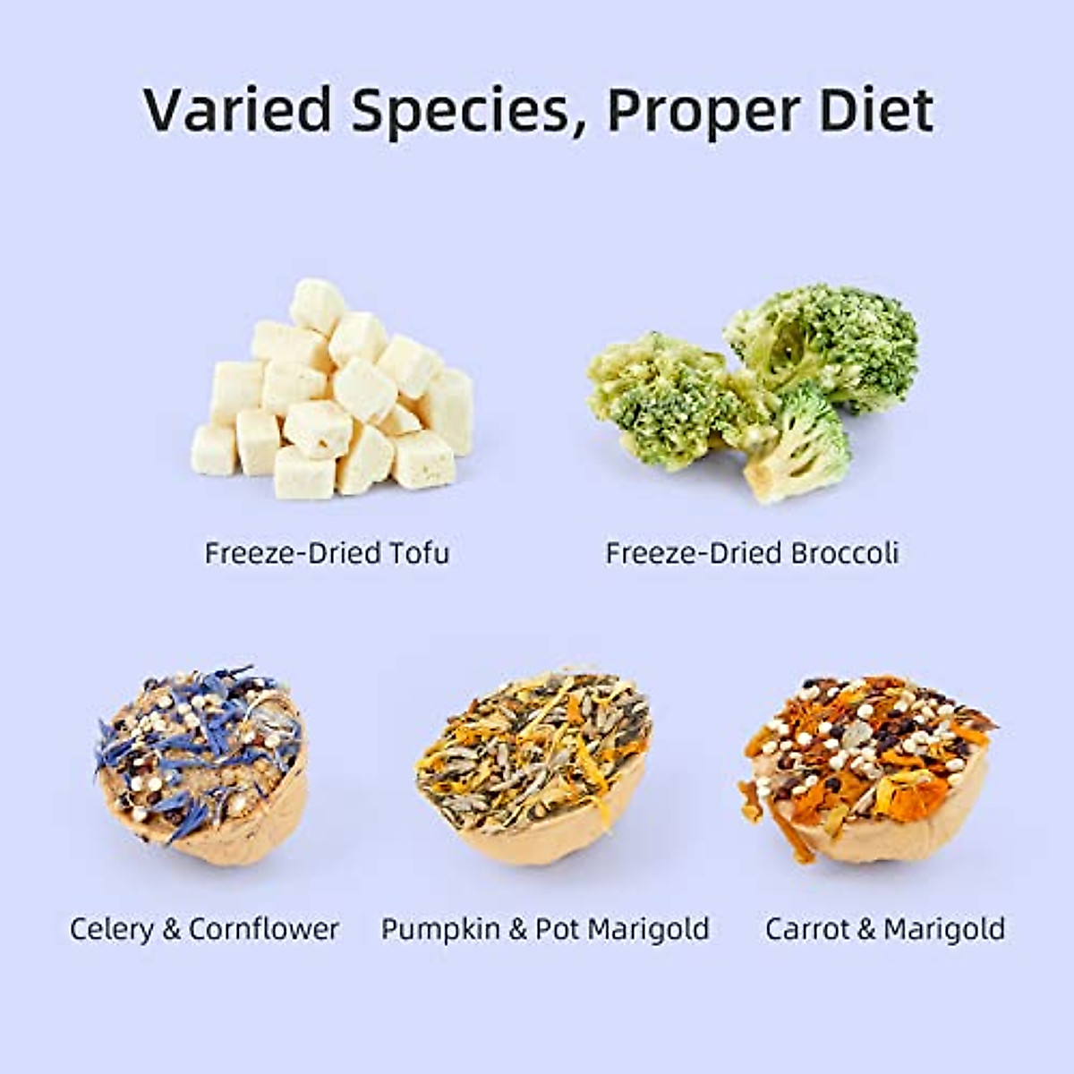 Niteangel Hamster Snack & Treats Toy - Small Animal Natural Treat Mix for Dwarf Syrian Robo Hamsters Gerbils Mice Lemmings Degus or Other Small-Sized Pets (Walnut-Shell Boat)