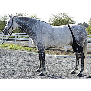 Ice Horse Pair of Stifle Wraps for Equine Therapy - Comes with 4 Ice Packs