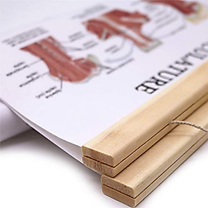 WEROUTE The Human Muscular System Chart Hanging Scroll Frame Canvas Print Human Anatomical Poster (16.5 x25)
