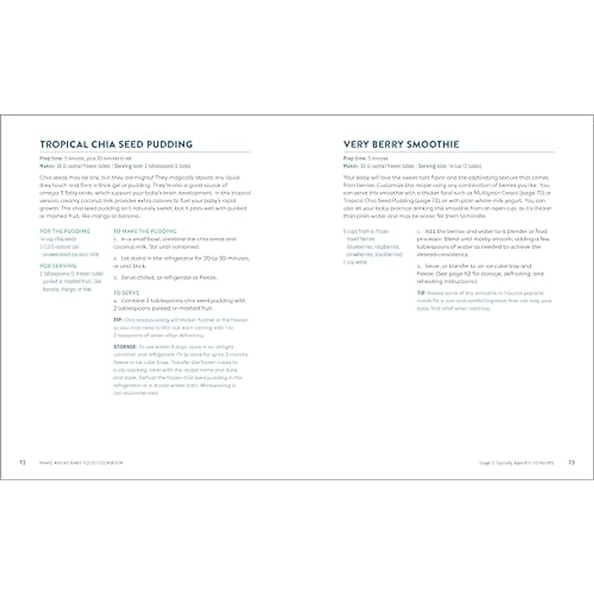 Make-Ahead Baby Food Cookbook: Meal Plans and Recipes for Every Stage