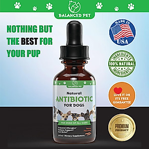 Natural Antibiotics for Dogs - Dog Antibiotics - Dog Itch Relief - Yeast Infection Treatment for Dogs - Dog Antibiotic - Dog Ear Infection Treatment - Pet Antibiotics - Antibiotic for Dogs - 1 oz