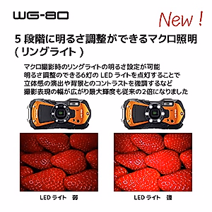 Ricoh WG-80 Black Waterproof Digital Camera Shockproof Freezeproof Crushproof (International Version)