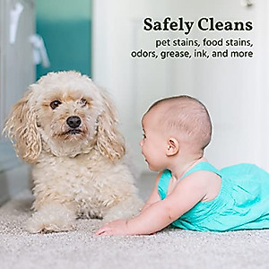 naturally it's clean Carpet Stains & Odors Cleaner; Plant Based Enzyme Safely Cleans Pet/Food Stains, Grease & Ink from Carpets, Rugs, Upholstery & Drapery, 24oz Spray Bottle x 2 Pack