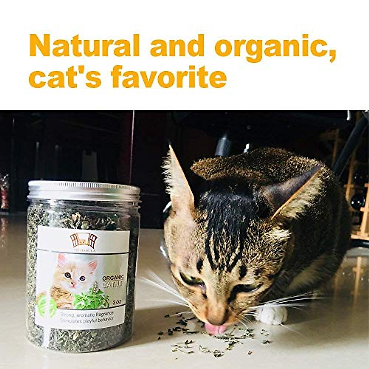 MR-BABULA Premium Natural Catnip, Selected Fresh Catnip Leaves & Bud (3OZ)