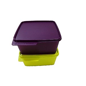 Tupperware Tupin Keep Tab Plastic Container Set (1.2 L, Any Colour) -2 Piece