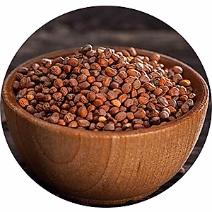 Radish Sprouting Seeds | Non GMO | Grown in USA | (1/4 Pound)