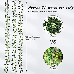 16 inch Happy Birthday Balloons, Birthday Banner, Birthday Decorations, and 12 Pieces Artificial Ivy Garland (Wild One)