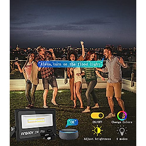 Smart Outdoor LED Flood Light,RGBW Landscape Light Stage Light Controled by APP/Alexa/Google Home,5000K 200W Equivalent IP66 Waterproof Timing Dimmable,Suit for Garden Party Halloween,2 Pack